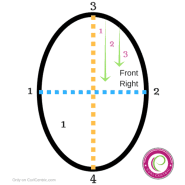 Big Chop Tutorial: DIY Step-by-Step Guide to Get Started Immediately