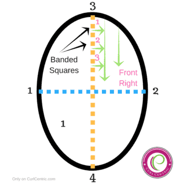 Big Chop Tutorial: DIY Step-by-Step Guide to Get Started Immediately