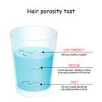 What Is Porosity? How to Test Hair Porosity and Fix Issues