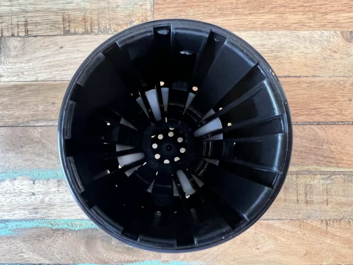 The Best Diffuser for Curly Hair to Transform Your Curls